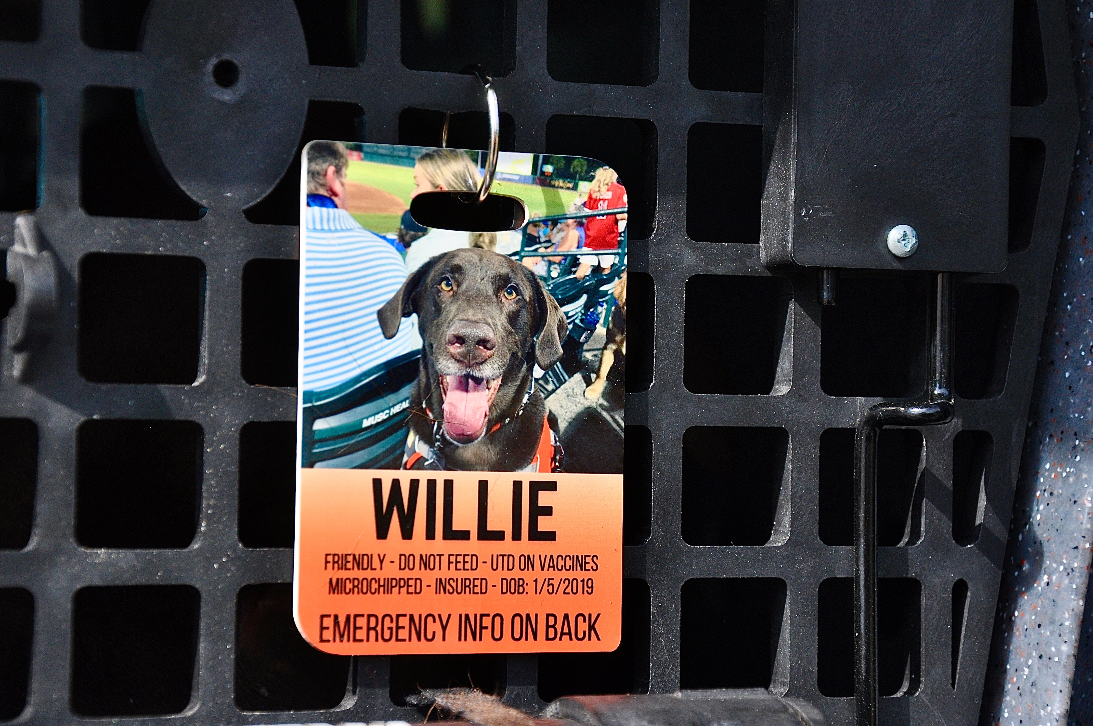 Emergency Info Crate Tag – Spoiled Dog Co.
