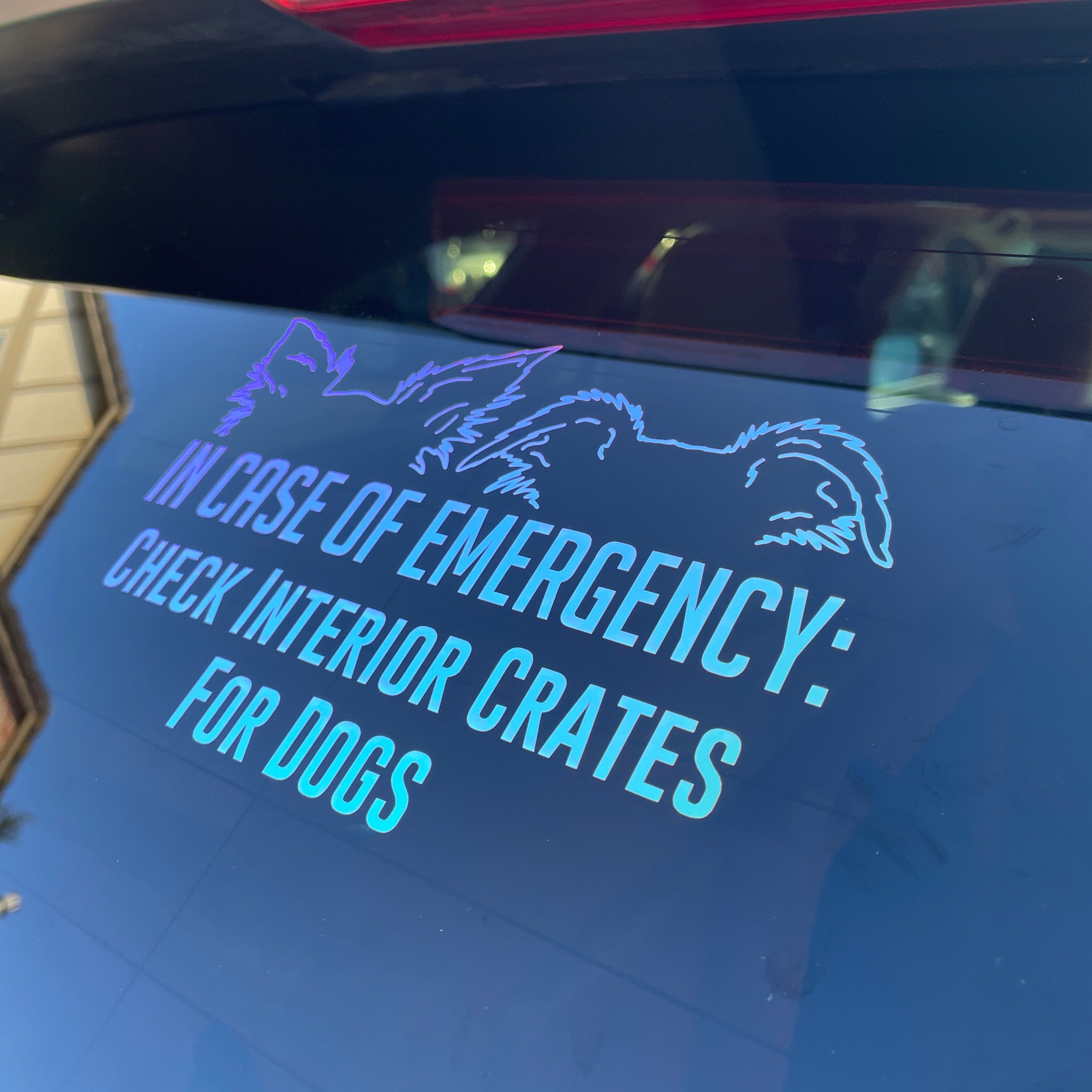"In Case of Emergency Check Crates" Decal – Spoiled Dog Co.