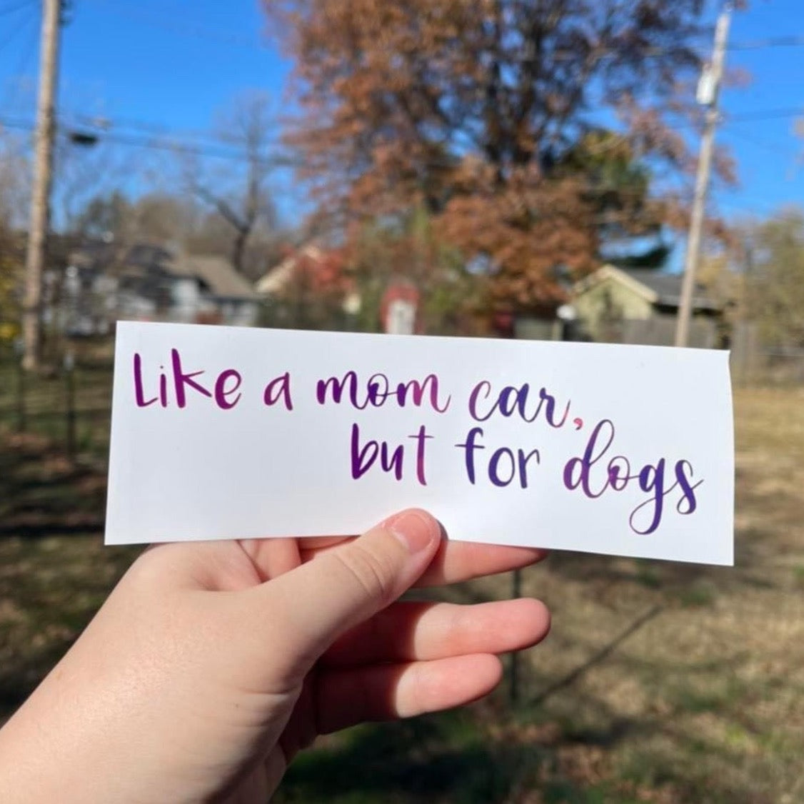 "Like a mom car, but for dogs" Decal – Spoiled Dog Co.